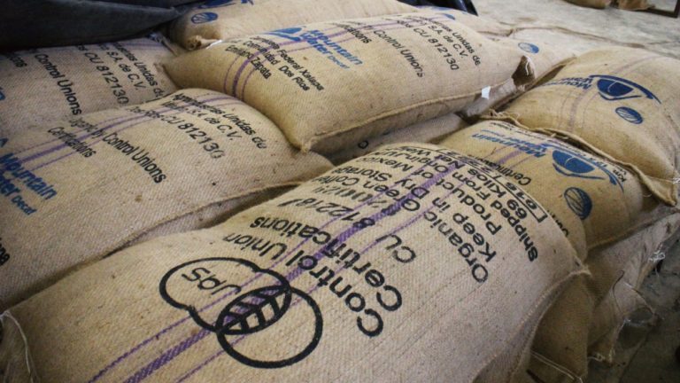 WINDFARM | DRAGON creative studio